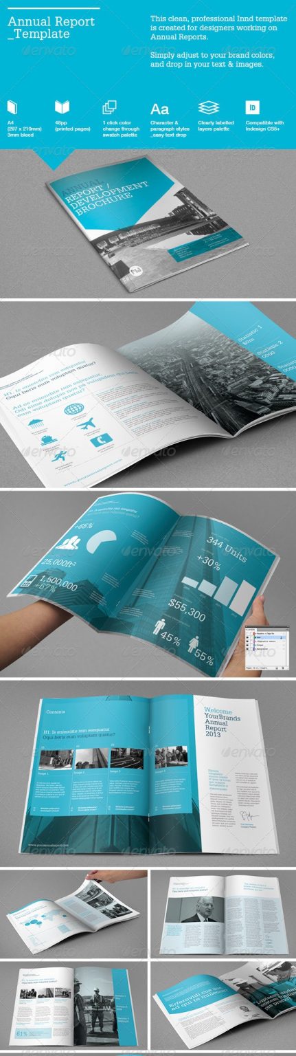 32+ InDesign Annual Report Templates For Corporate Businesses