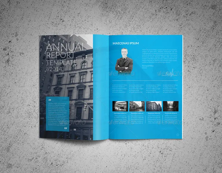 32+ InDesign Annual Report Templates For Corporate Businesses