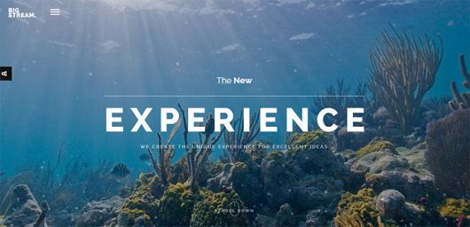 19+ Awesome WordPress Themes with Large Typography - Extensive Guide ...