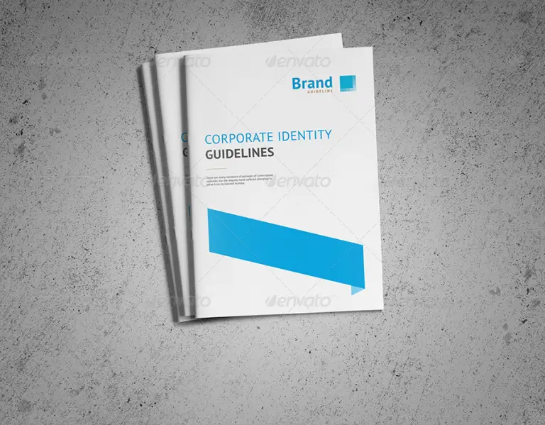 23+ Best Brand Guidelines Templates PSD & InDesign Download - PSD ...